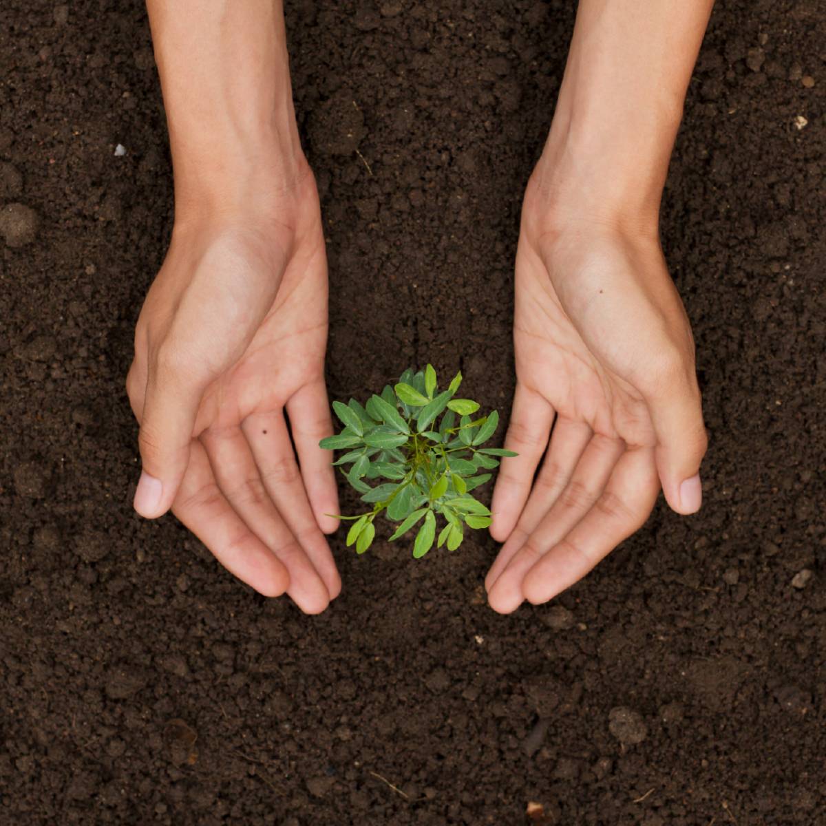 Environmental Problems & Solutions