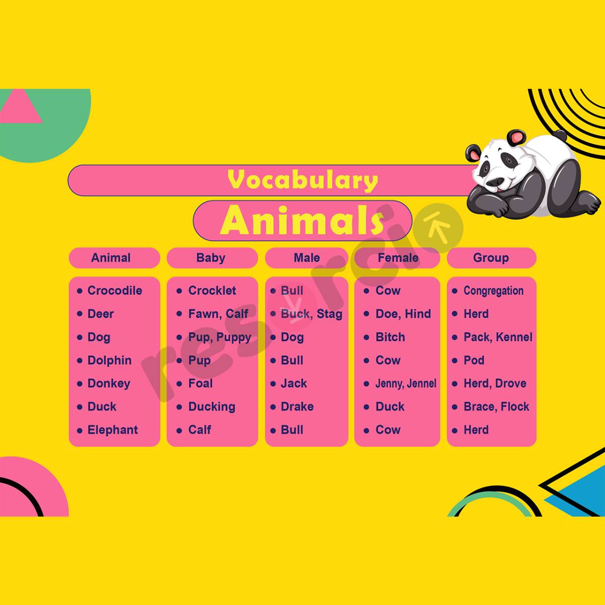 Vocabulary Animals - 01