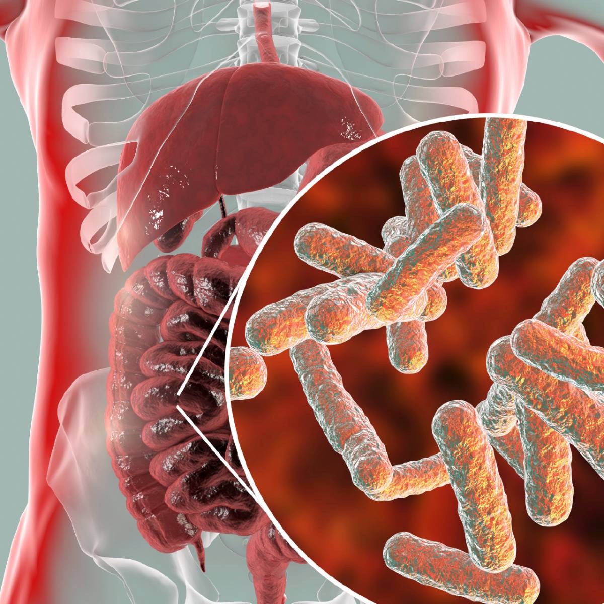 Pathology of Digestive System