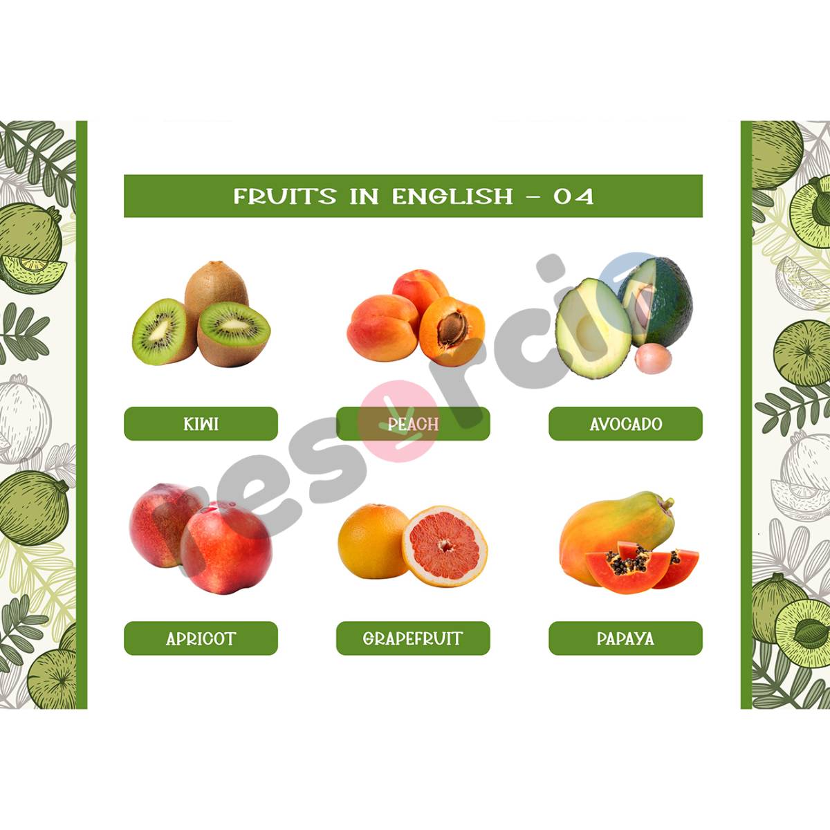 Fruits in English - Template 04