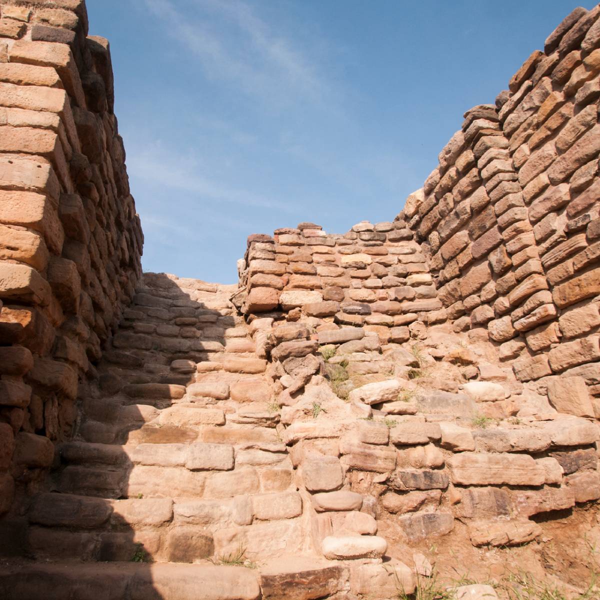 Harappan Civilization