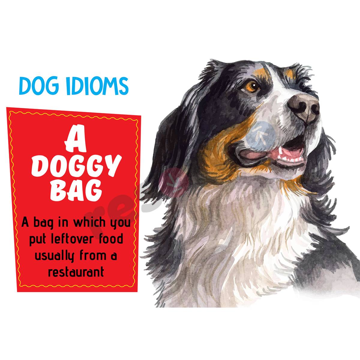 Dog Idioms - Template 04