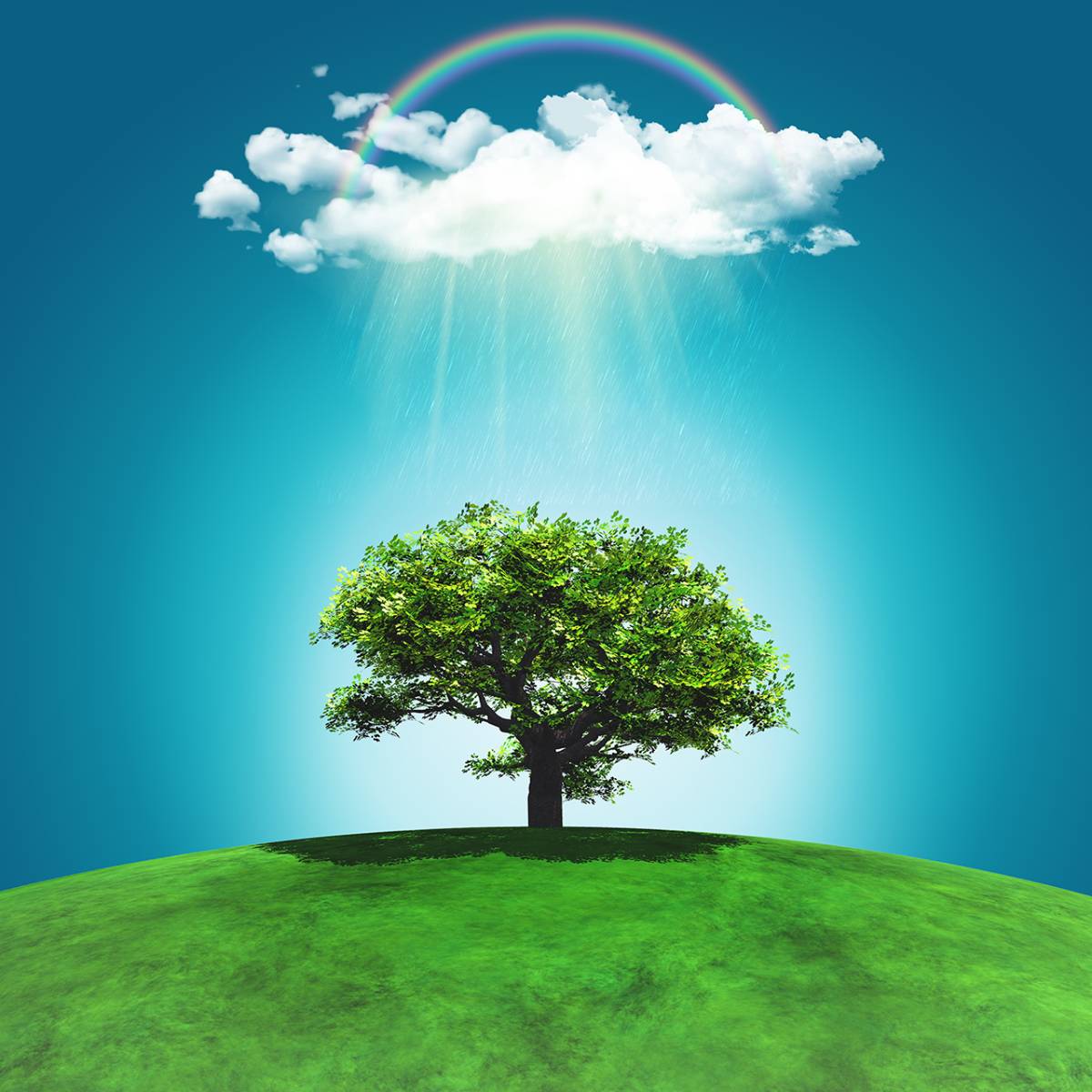 English - Honeycomb - Unit 5 - Poem - Trees