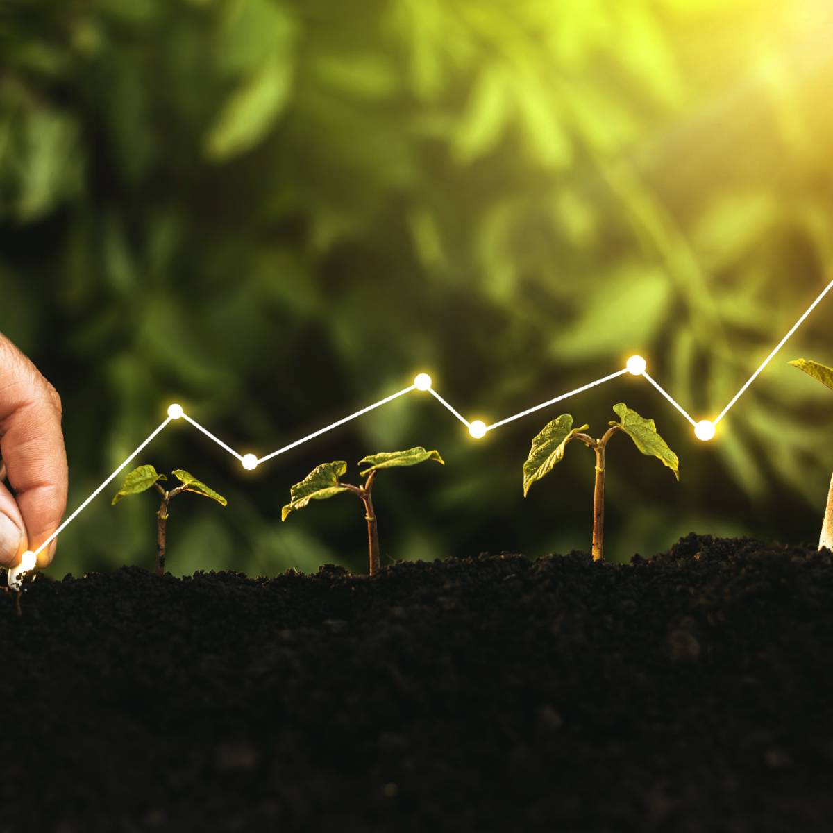 Environmental Analysis