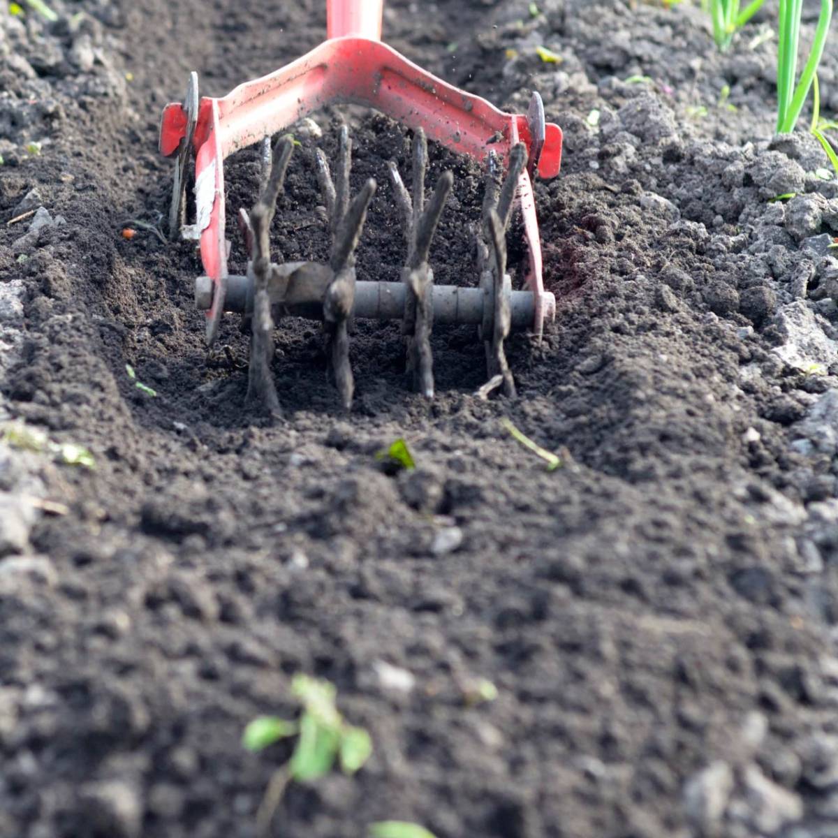 Soil Effective Stress Principle