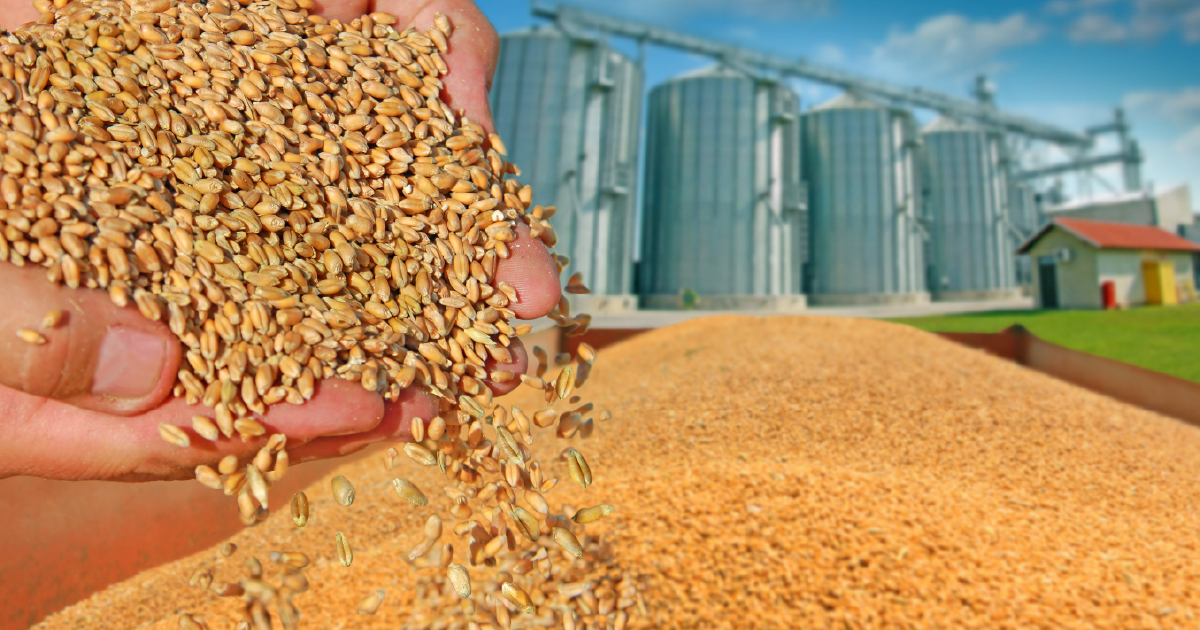 Plant Production