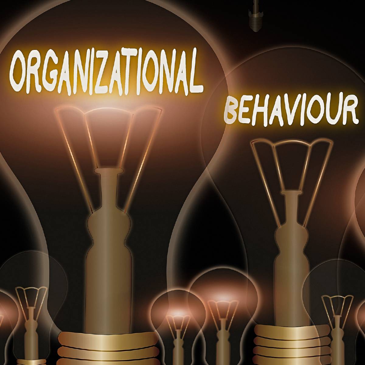 Communication in Organizational Behavior