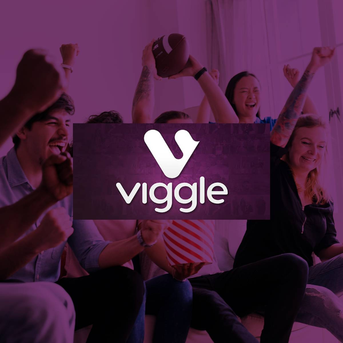 Gamification in Customer Engagement - Viggle