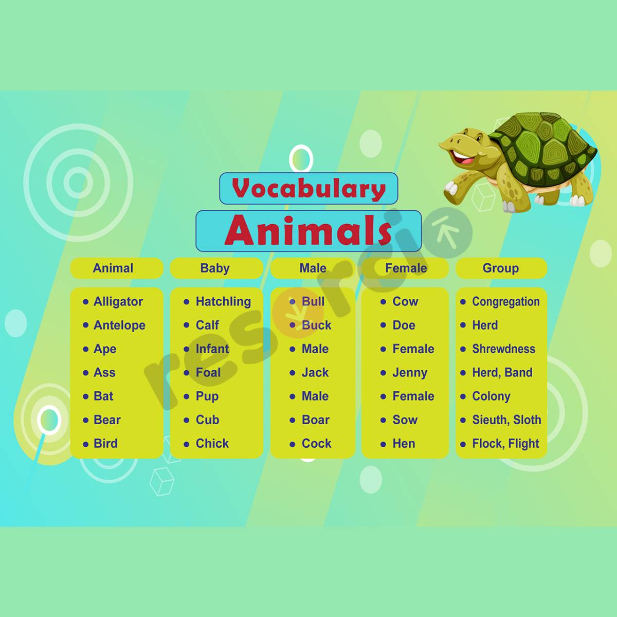 Vocabulary Animals - 02