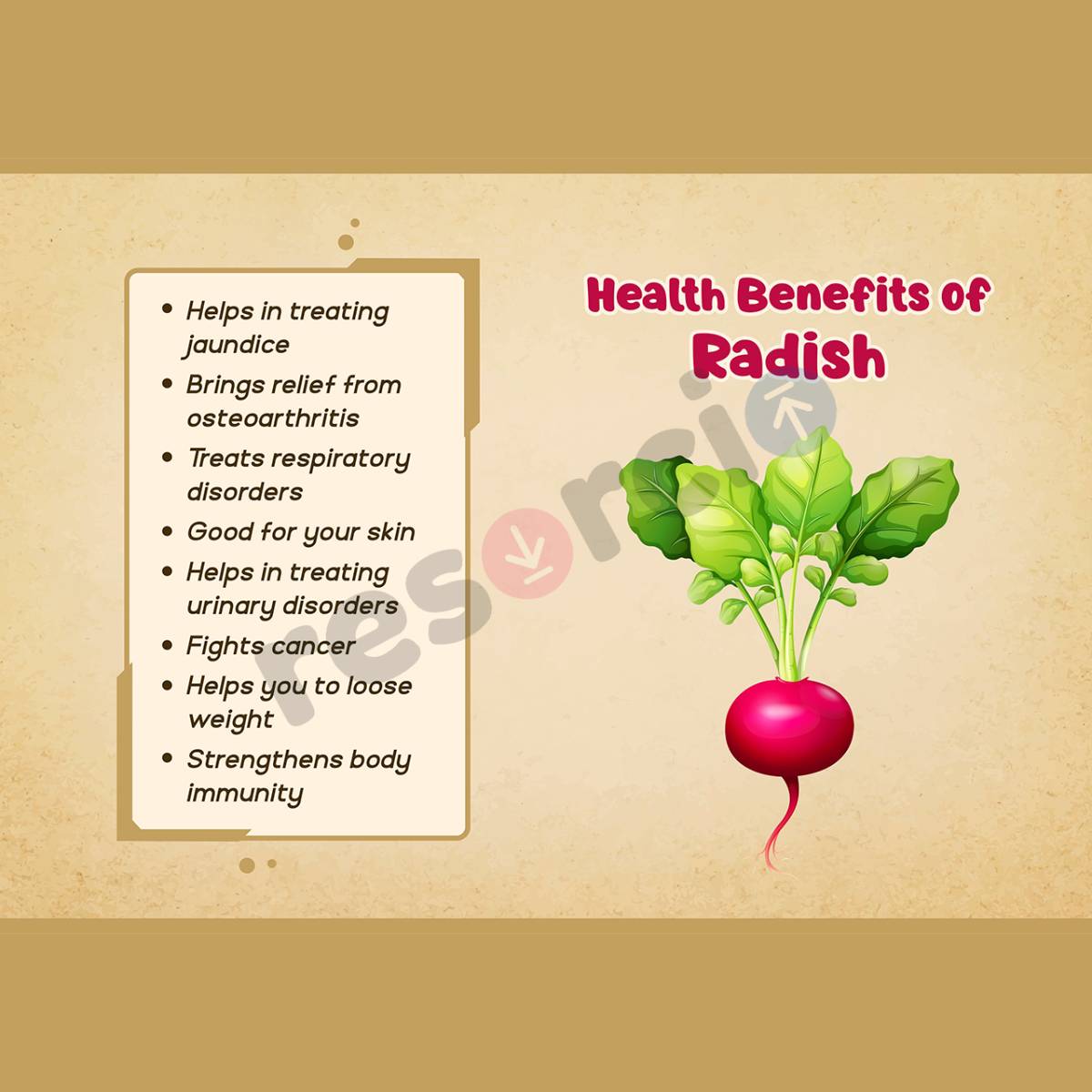 Health Benefits of Radish- Template 01