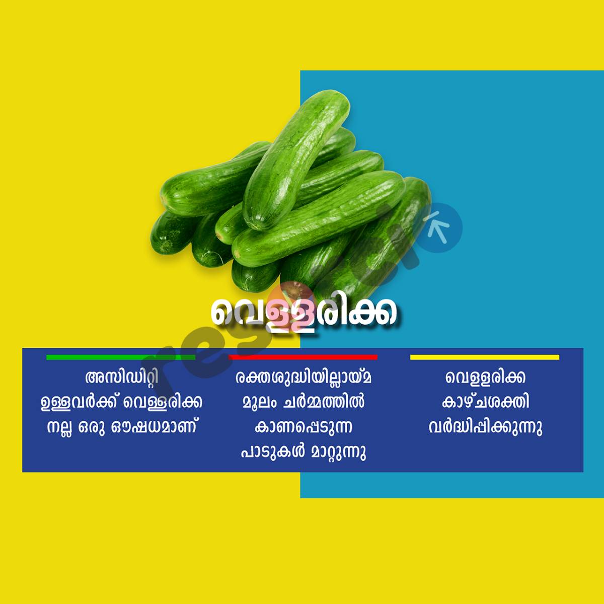 Cucumber - Template 02