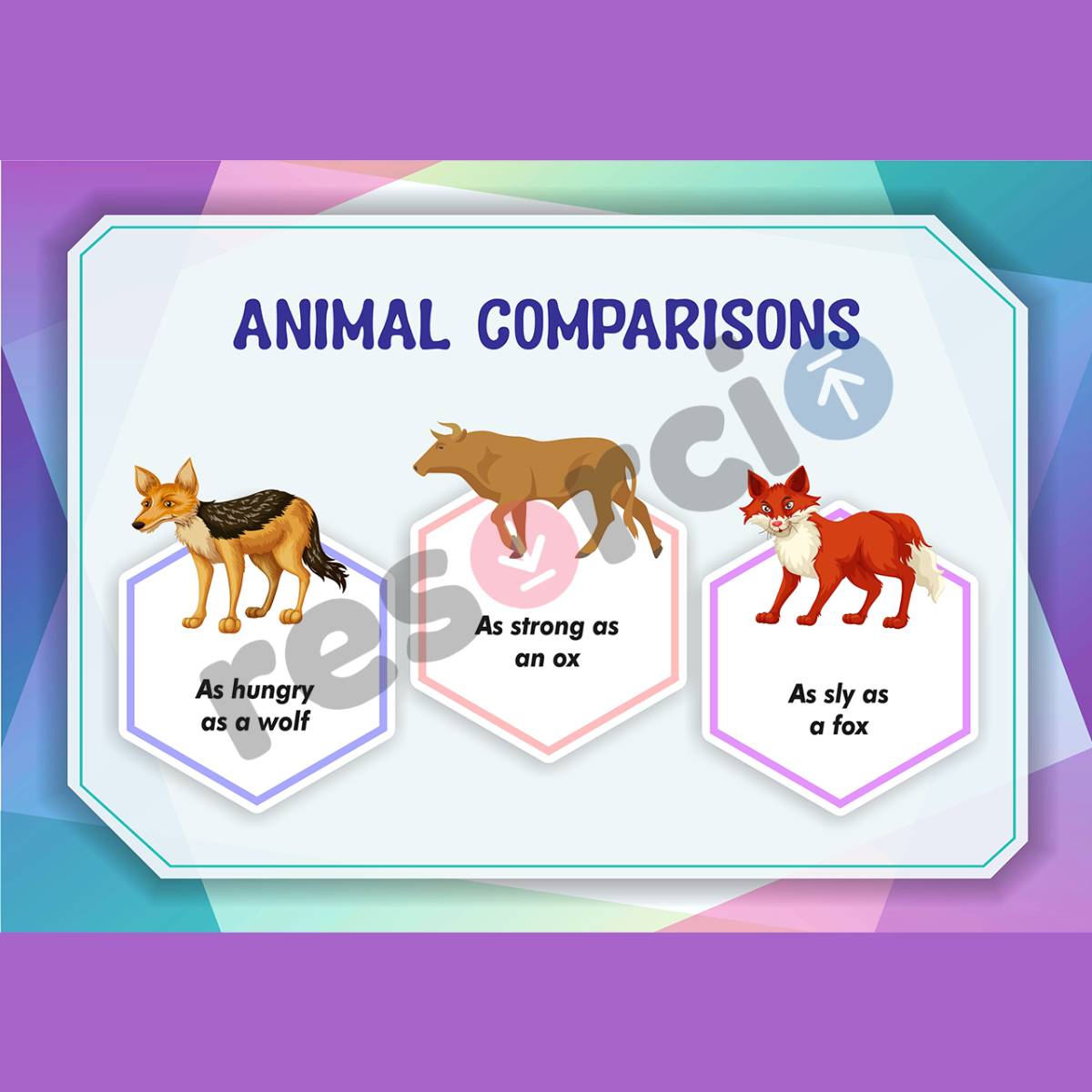 Animal Comparisons - Template - 01