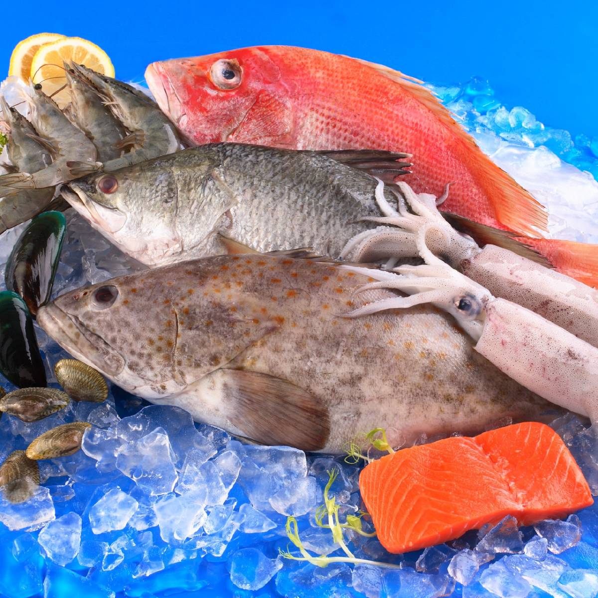 Fishes of Andhra Pradesh and Telangana