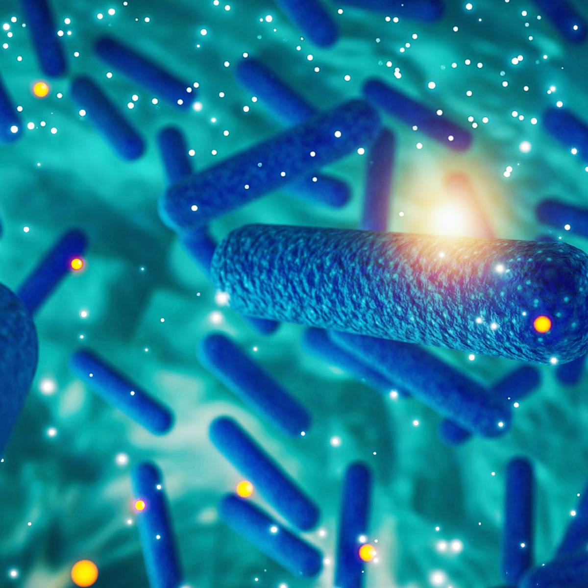 Bacterial Genetic Structures