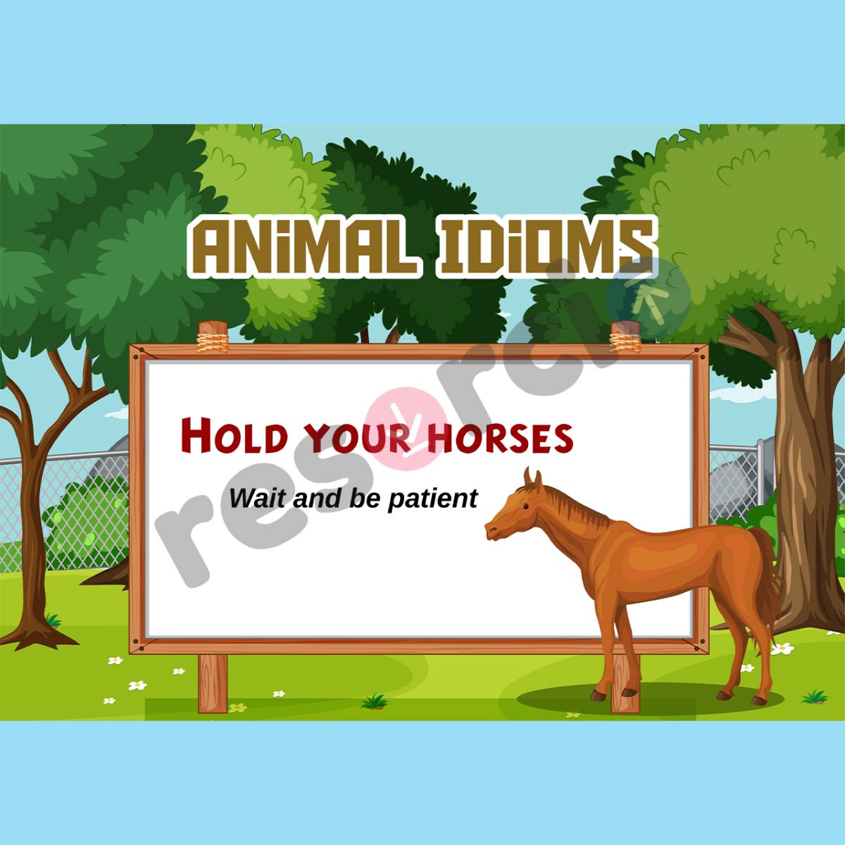 Animal Idioms - 02