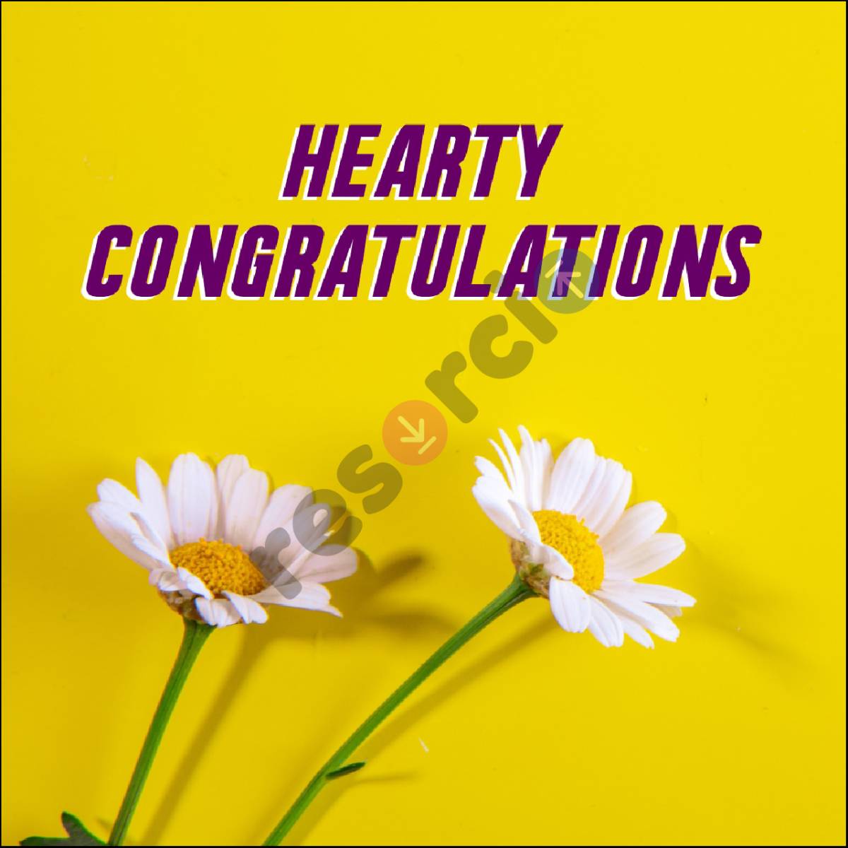 Hearty Congratulations - Template 81