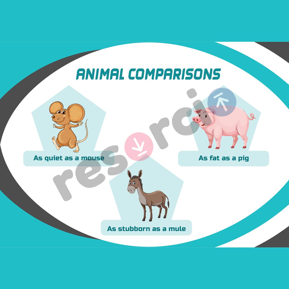 Animal Comparisons - Template - 07