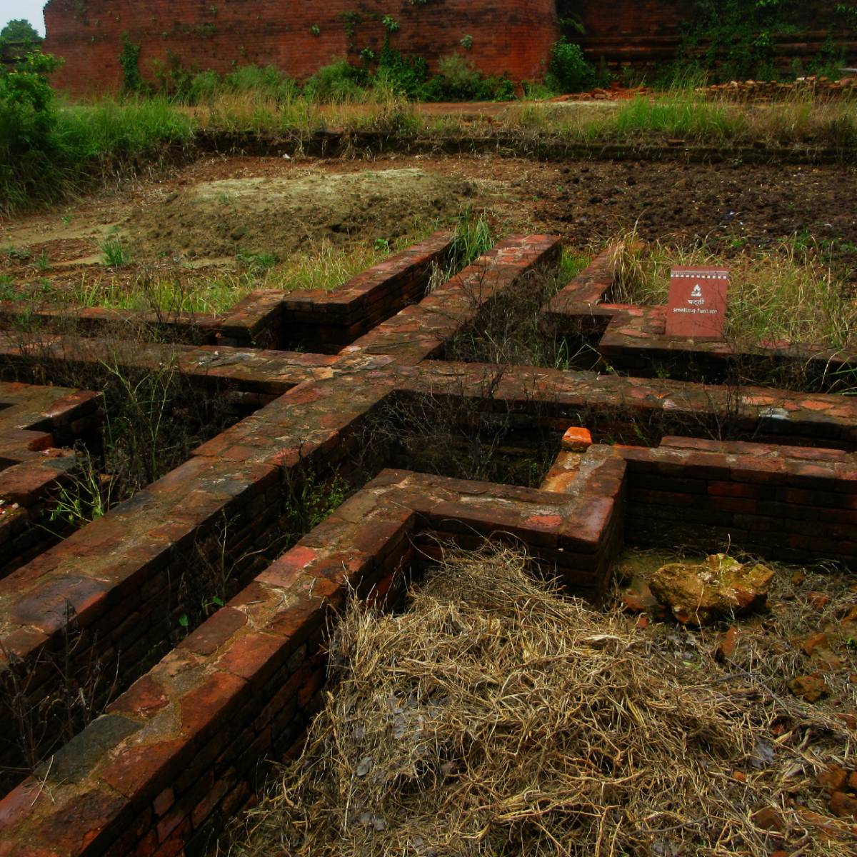 Must Visit Place in Bihar