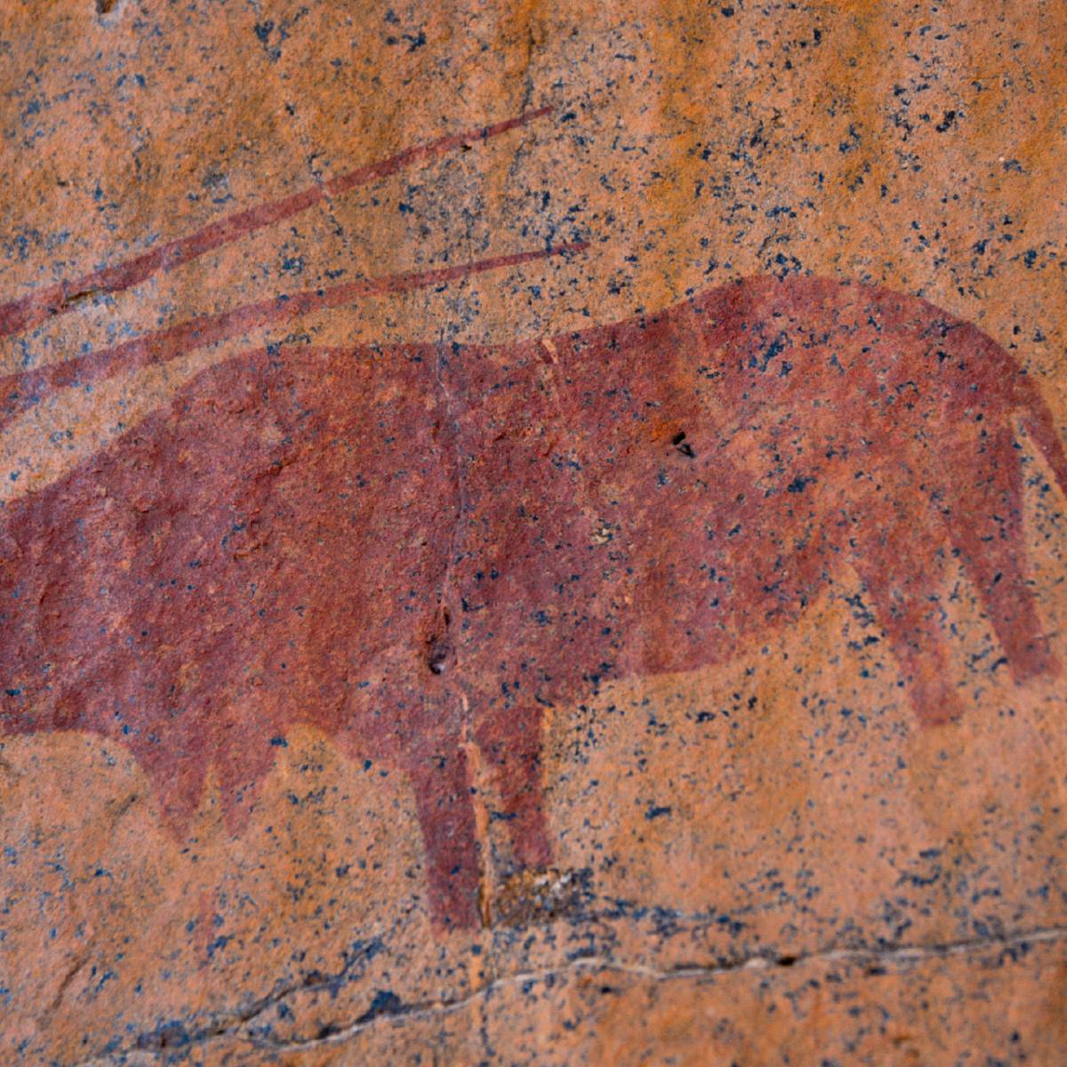 The Prehistoric Site of Pandavula Gutta