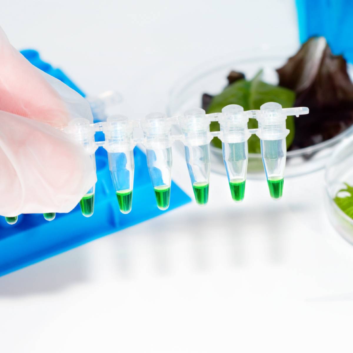 Plastics Testing Part-2