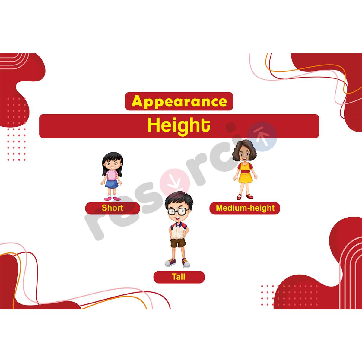 Appearance - Height - Template 01