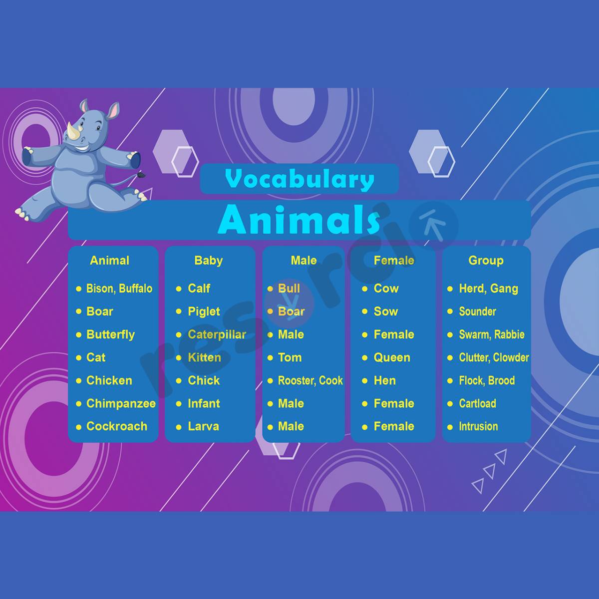 Vocabulary Animals - Template 03