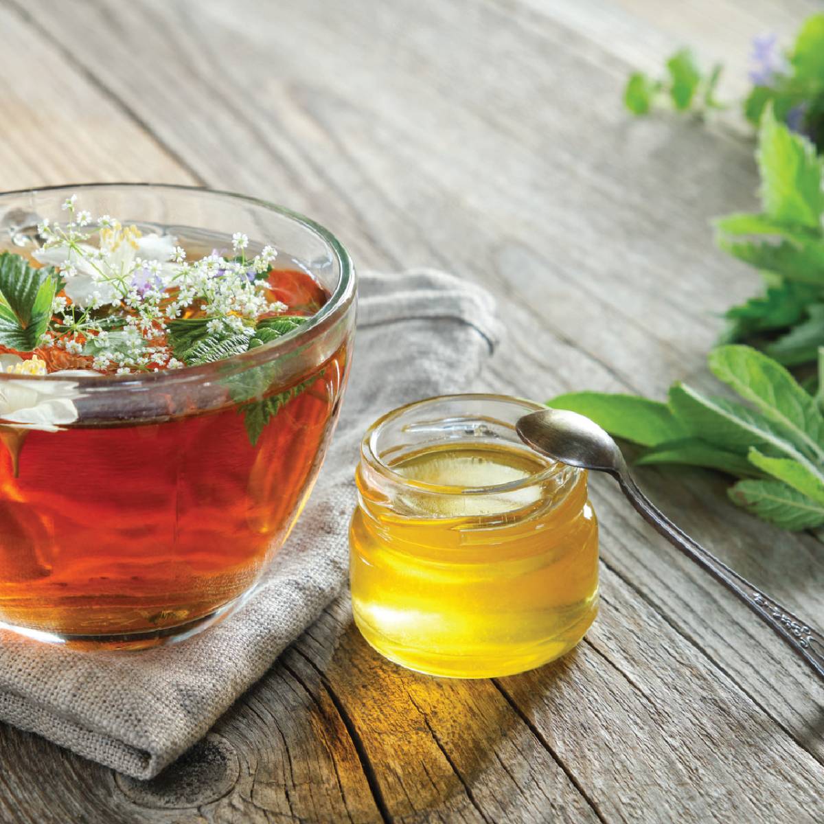 Medicinal Plants and Their Importance
