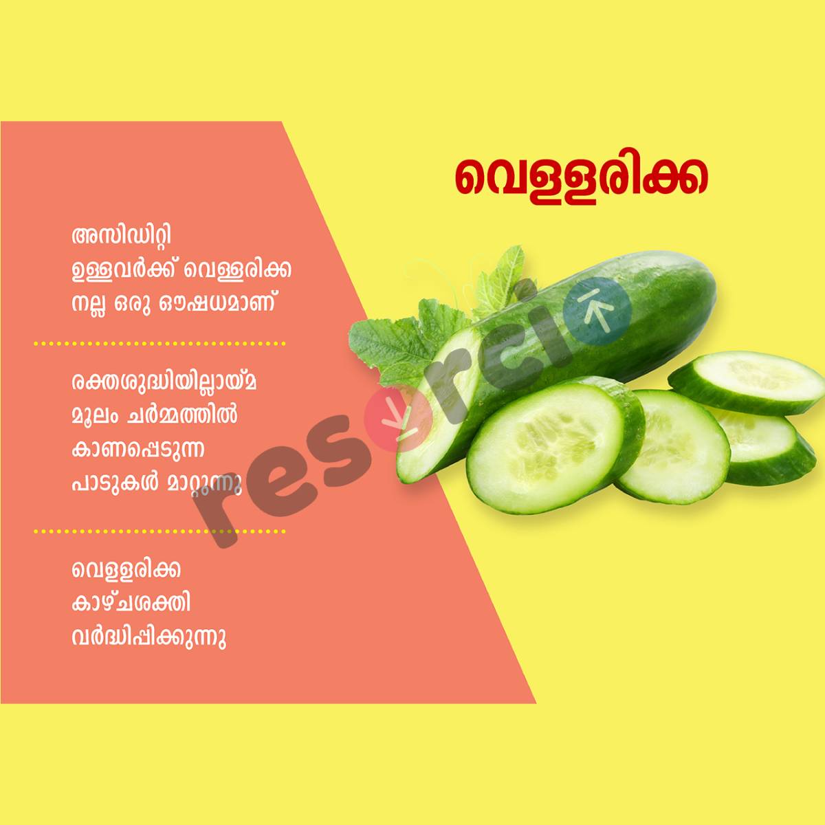 Cucumber - Template 03
