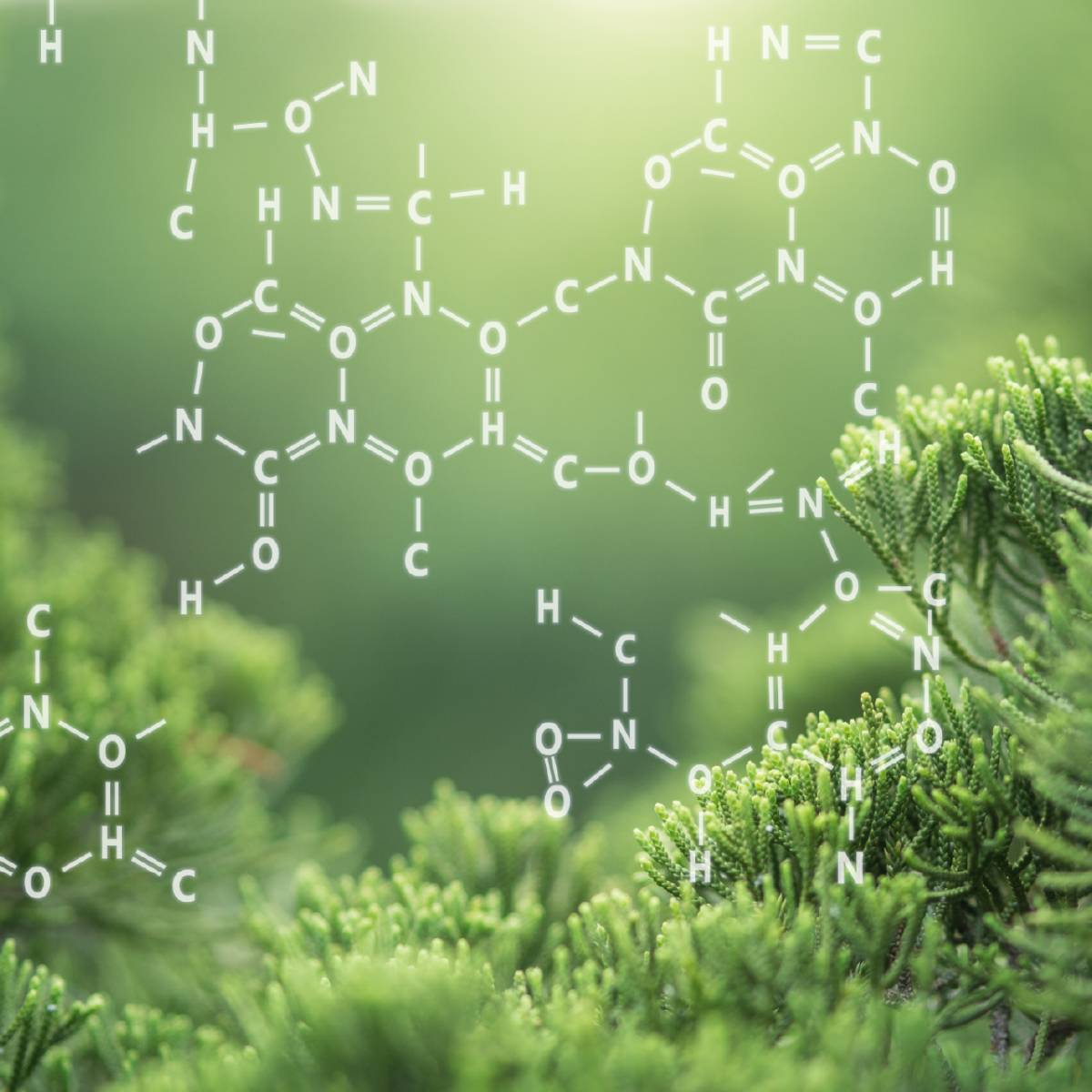Chemistry Of Life Chemistry Of Life