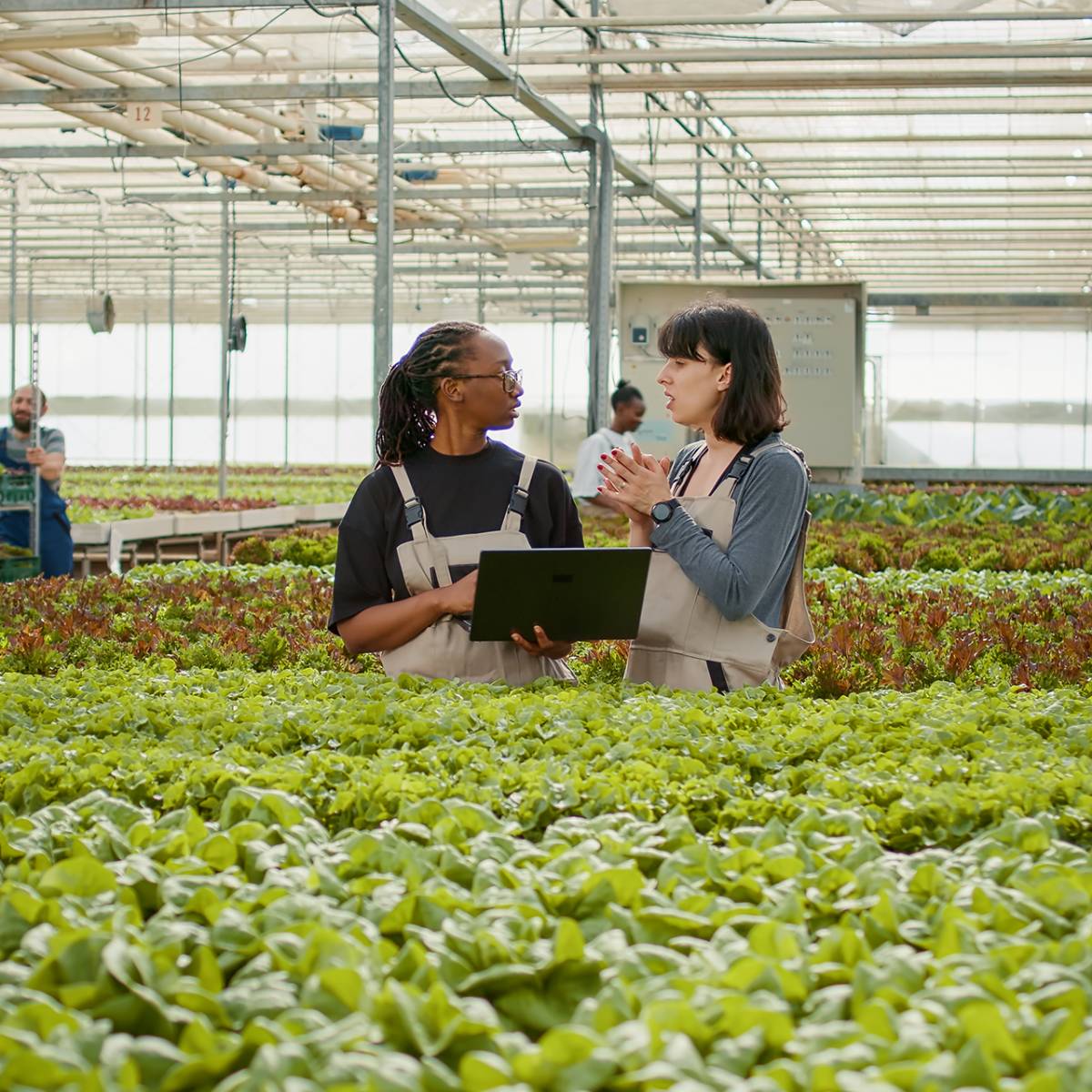 C8SC 01B - Science - Chapter 1 - Crop Production & Management - Part 2