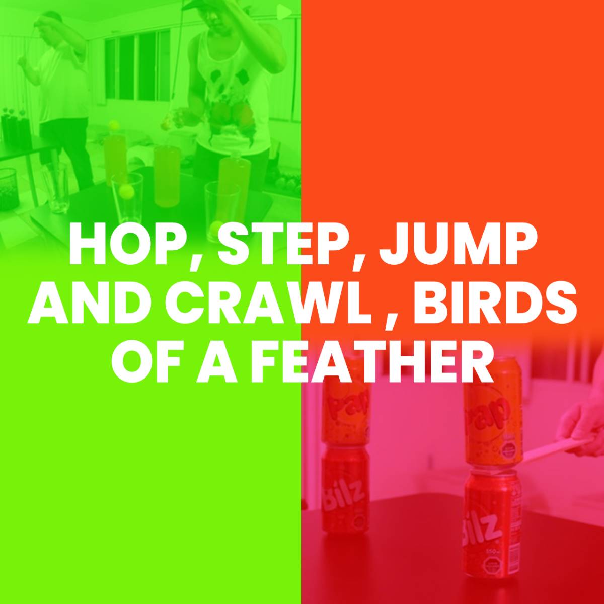 Hop, Step, Jump And Crawl , Birds Of A Feather