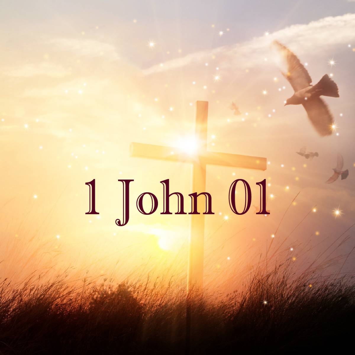 1 John 01