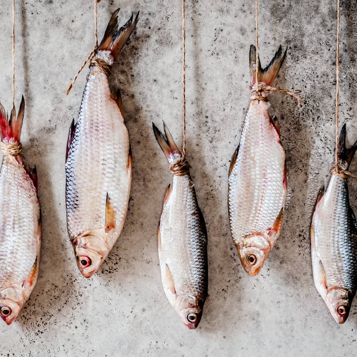 Fish Drying and Salting