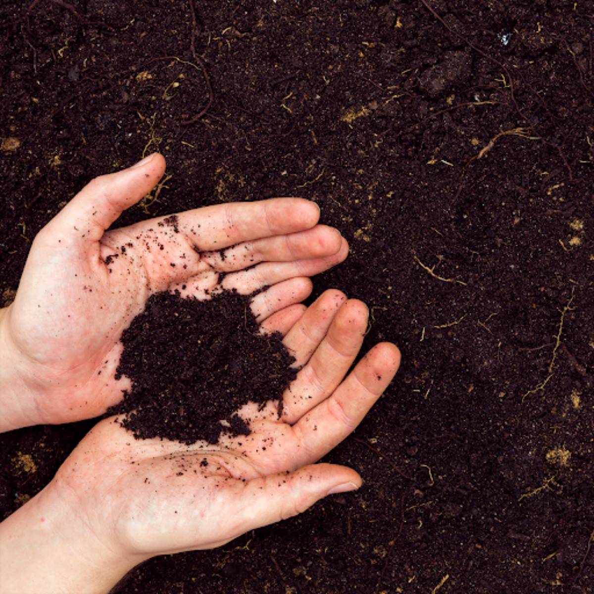 Science - Chapter 9 - Soil - Part 2