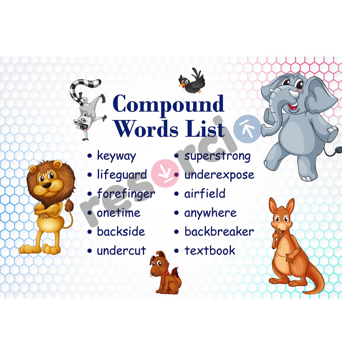 Compound Word List - 46