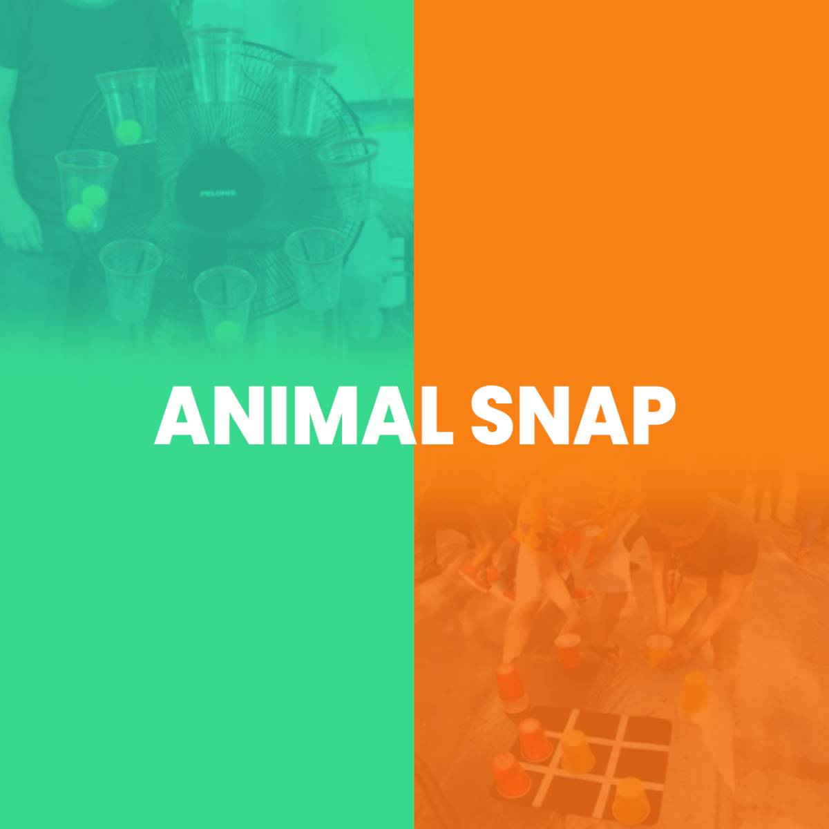 Animal Snap