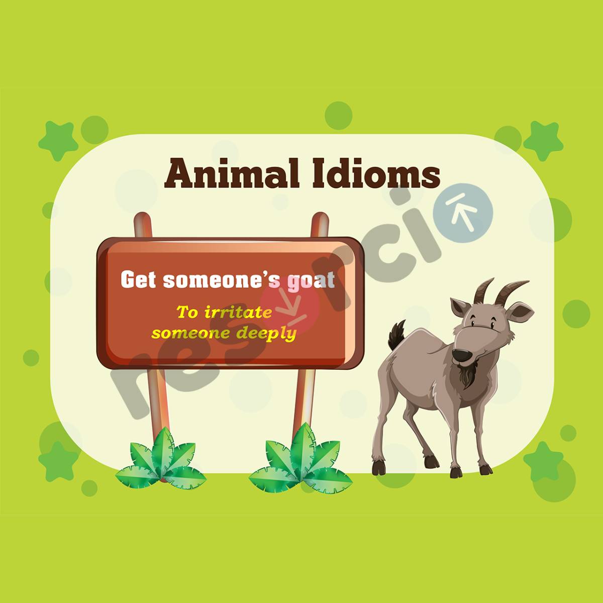 Animal Idioms - 15