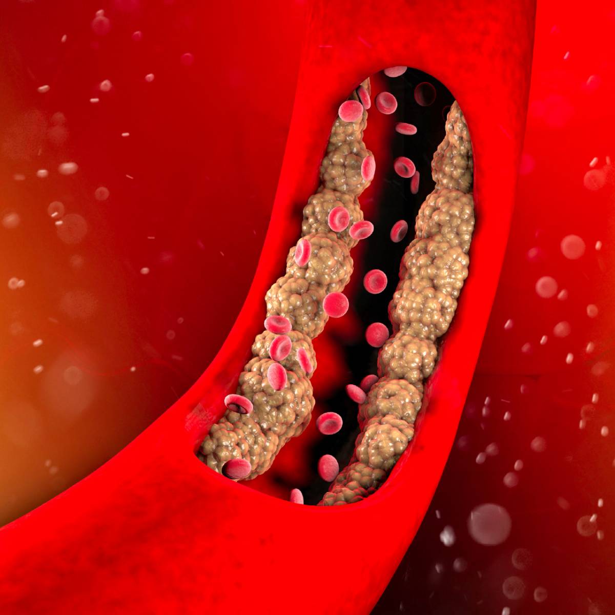 Introduction to Lipid