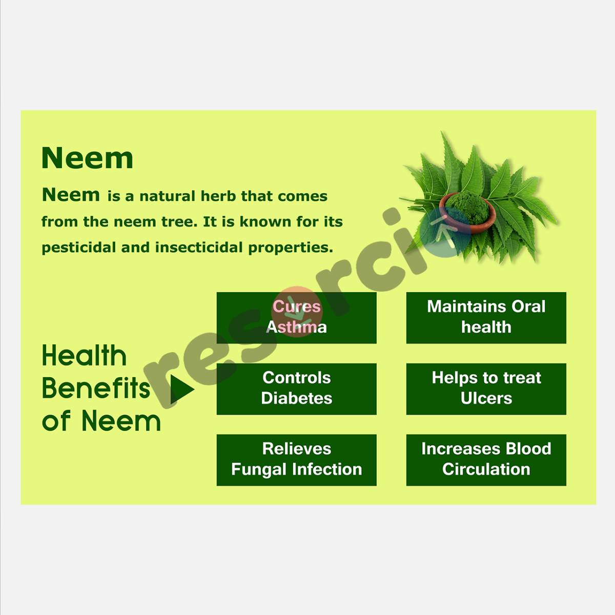 Health Benefits of Neem - 01