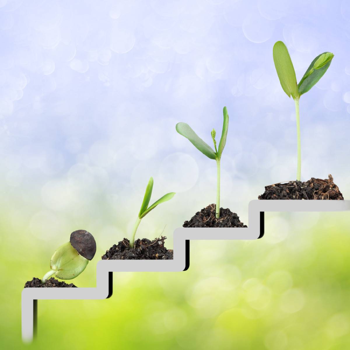 Plant Growth Regulators