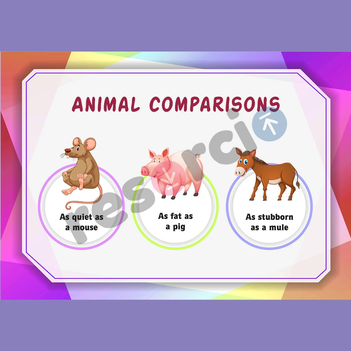 Animal Comparisons - Template - 02