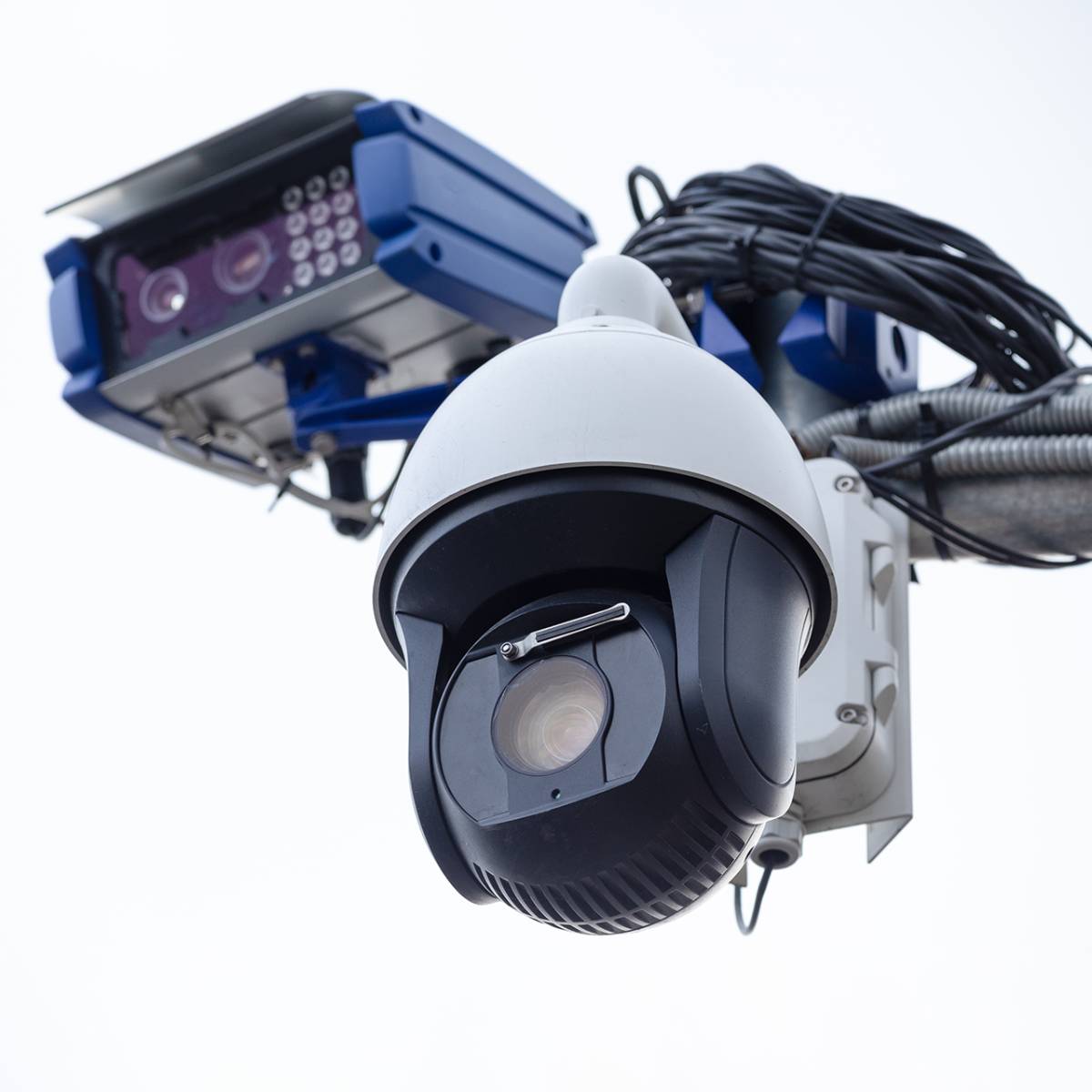 Social Gamification Speed Camera Lottery