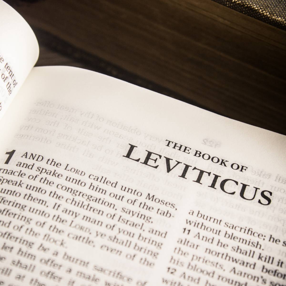 Leviticus