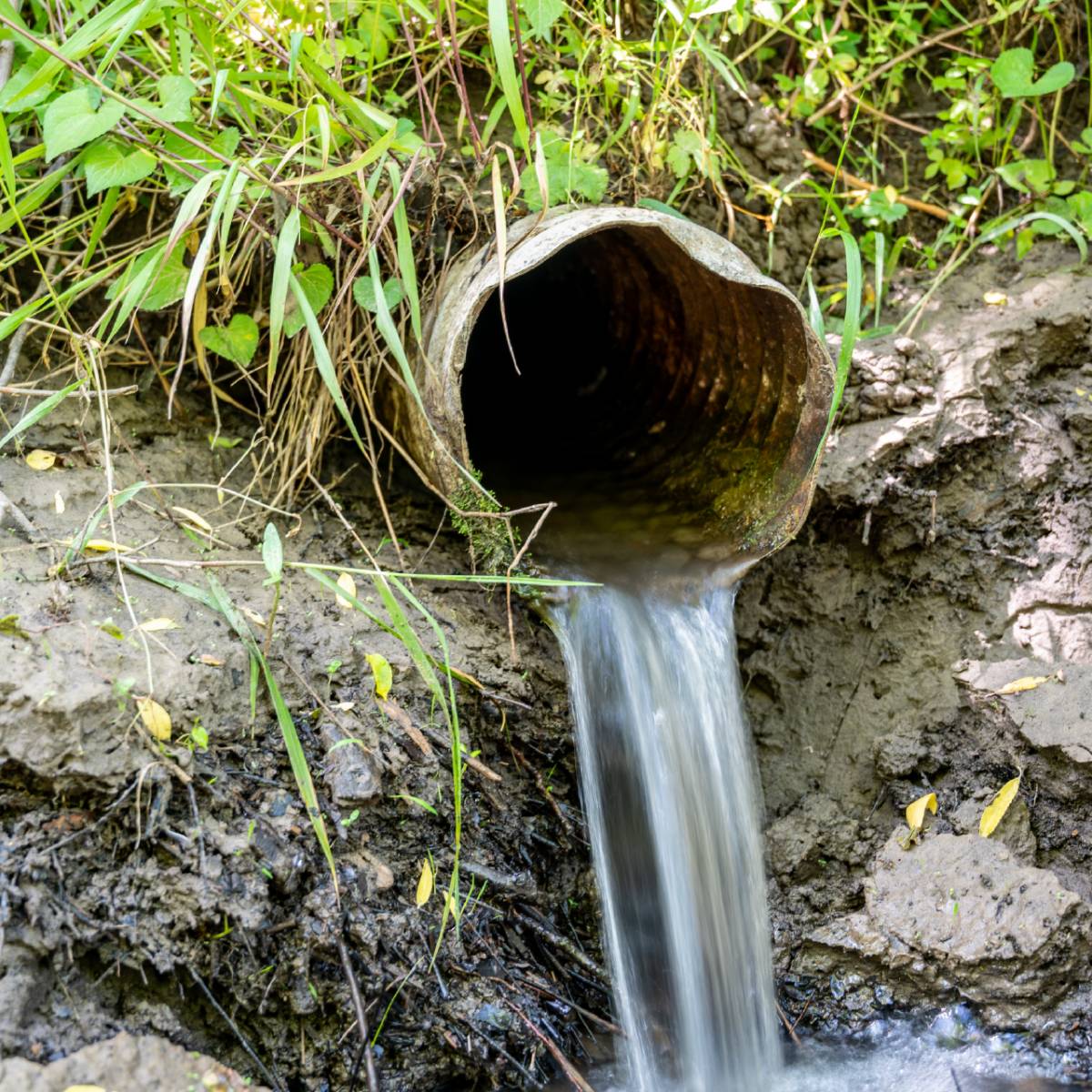 Groundwater Management