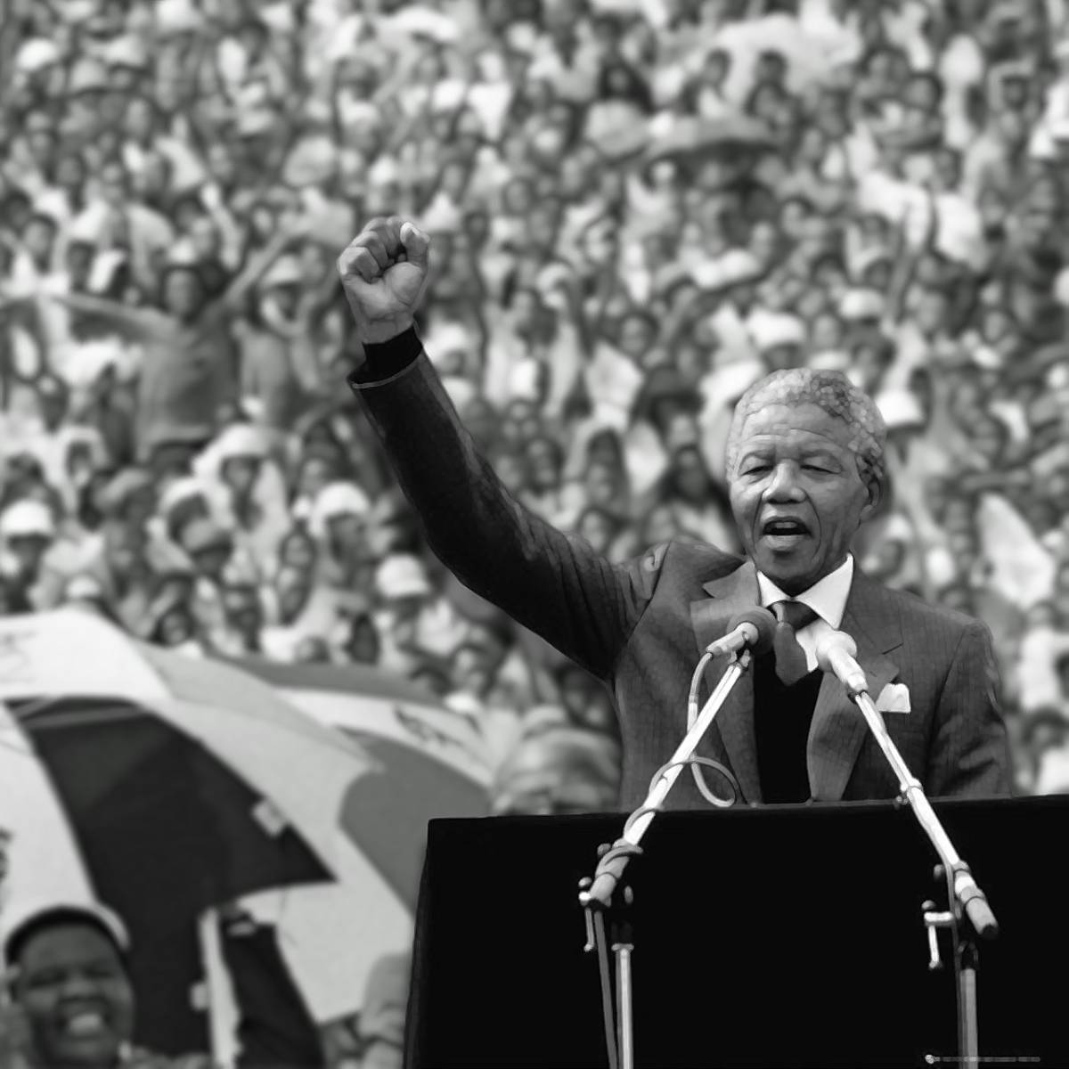 English - First Flight - Chapter 2 - Nelson Mandela: Long Walk to Freedom