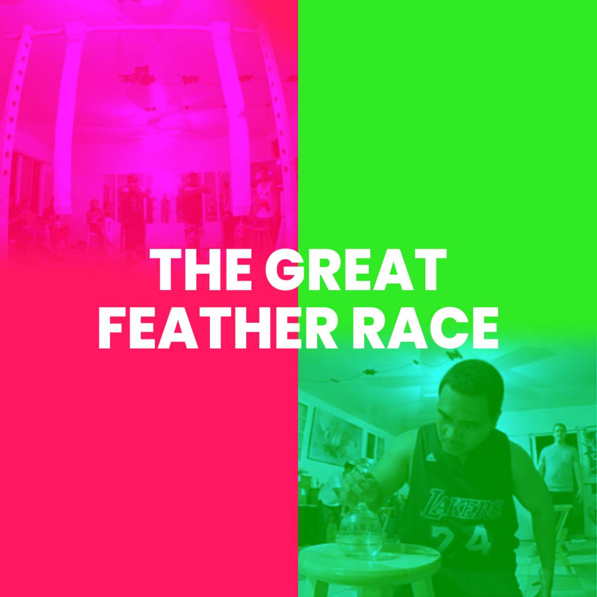 The Great Feather Race