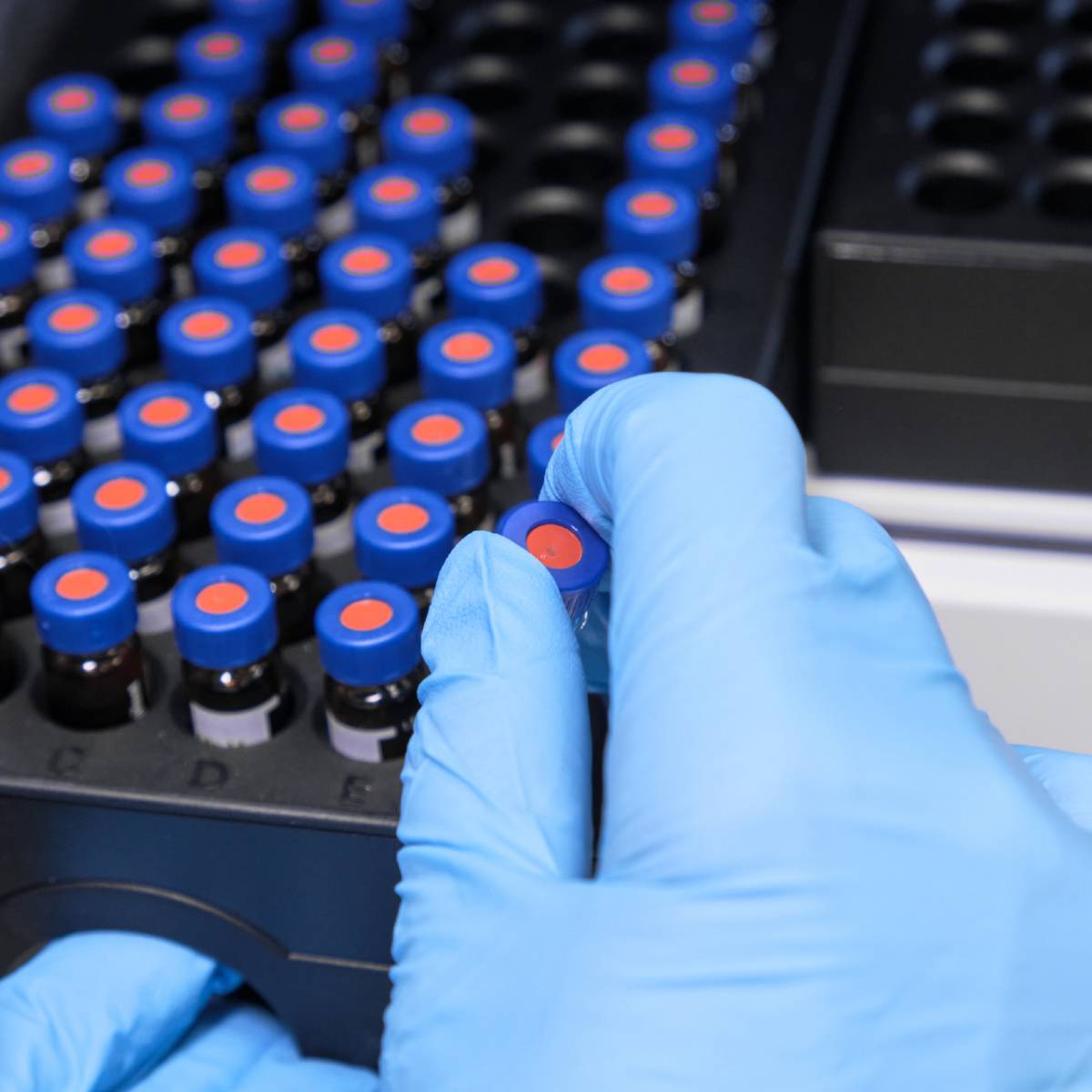 Size Exclusion Chromatography