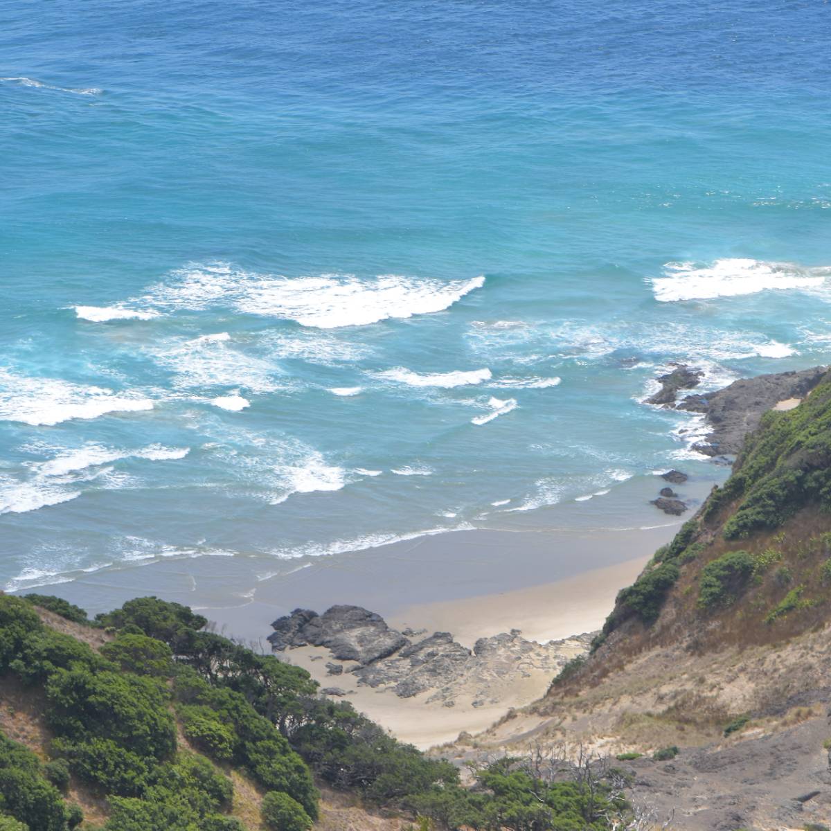 Districts of Coastal Andhra Pradesh and their Specialities