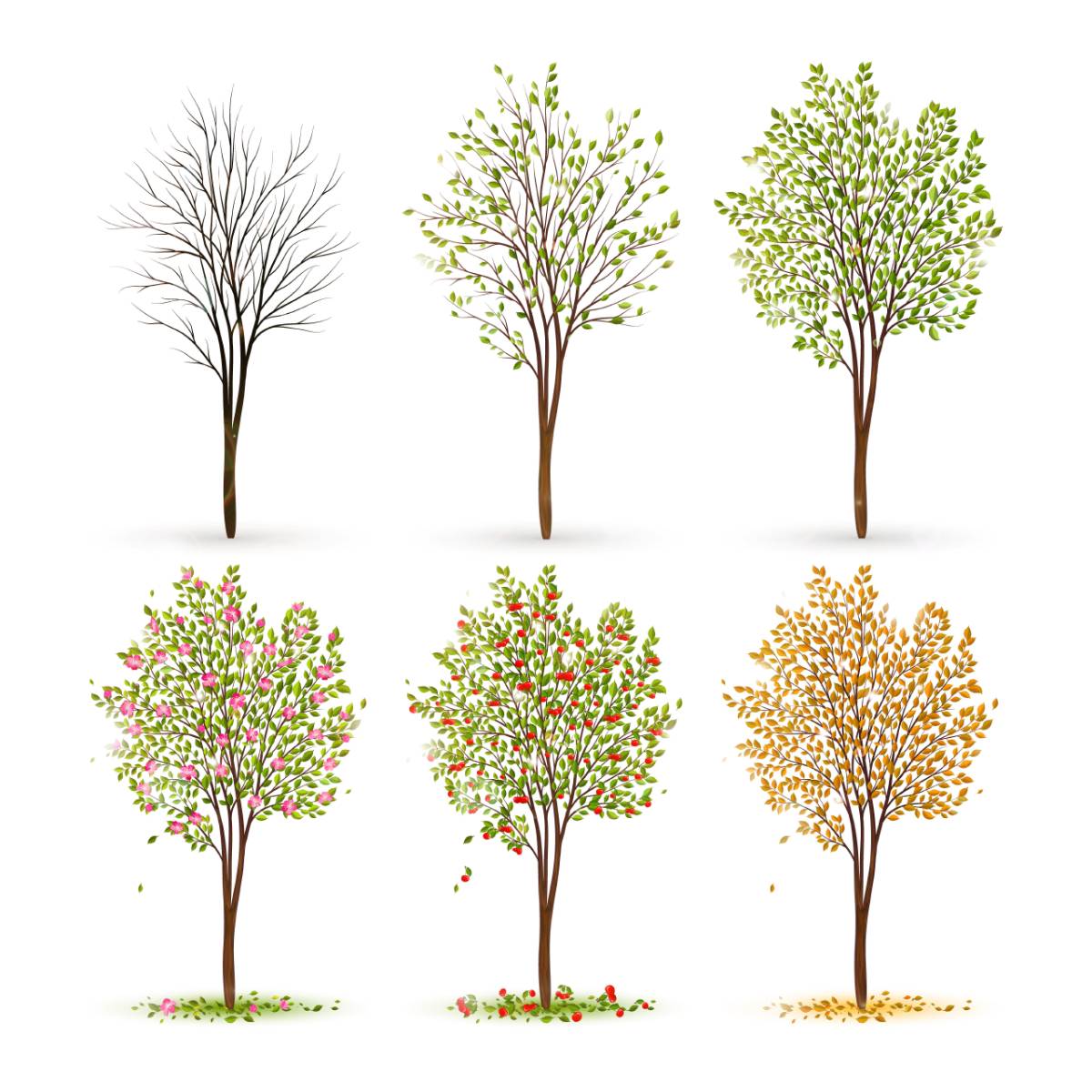 Telugu Rutuvulu, their Characteristics and Festivals