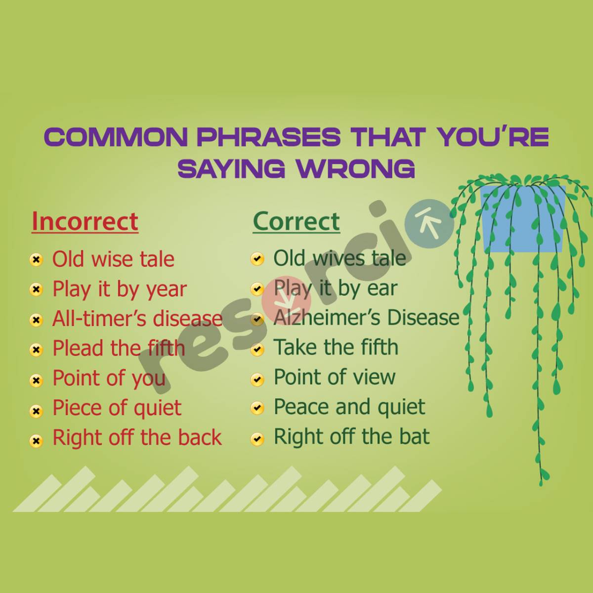 Common Phrases That You're Saying Wrong - Template 04